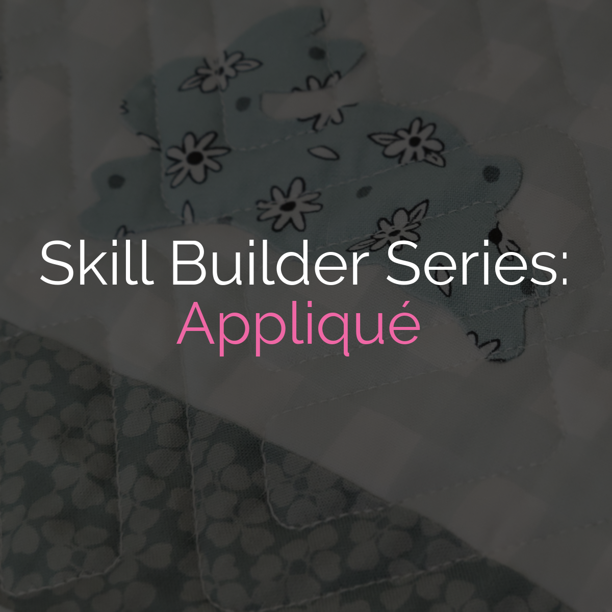 Skill Builder Class Series: Hand Applique - January 2026 - In Studio C – Out of Hand Quilting ...