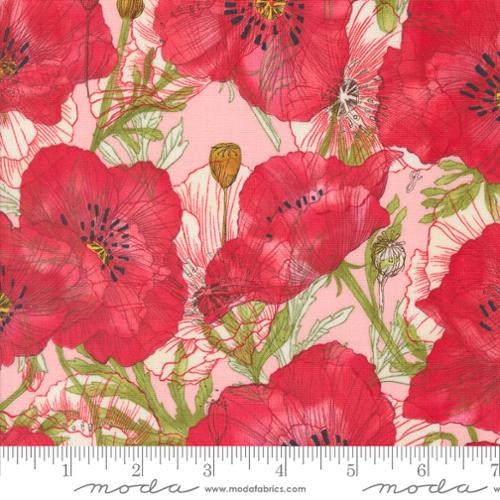 Superbloom - Poppy Carnation - Robin Pickens – Out of Hand Quilting ...