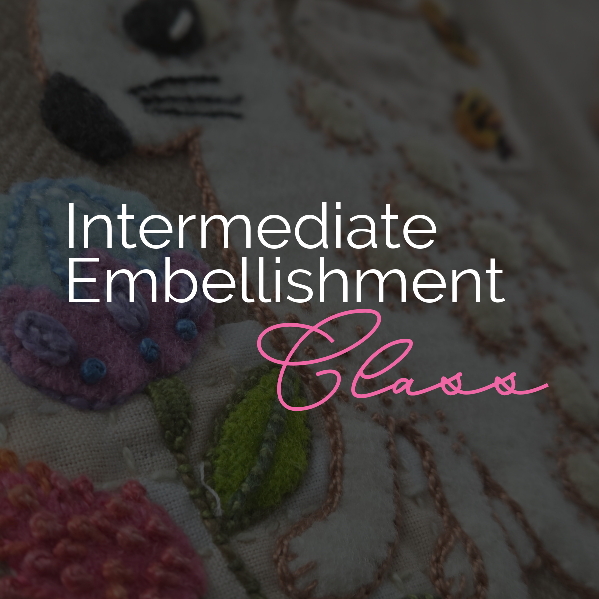 Intermediate Embellishment Stitches - April 2026 - In Studio Class ...